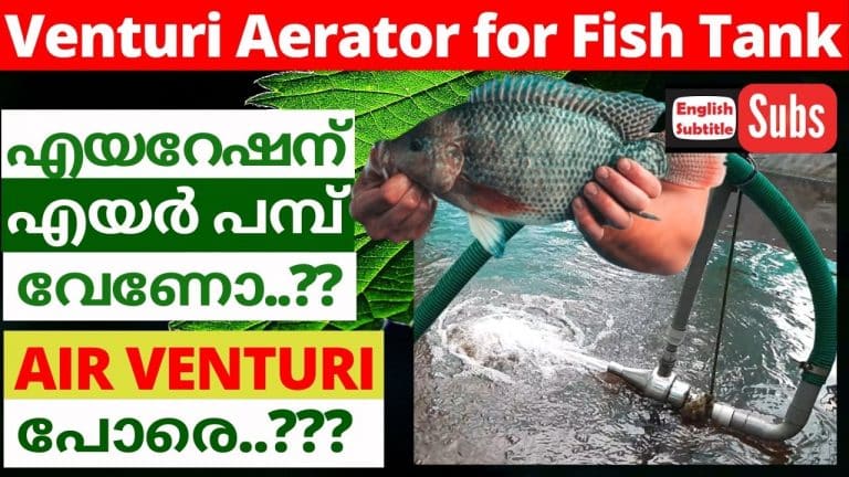 DIY Venturi for Aeration in Fish Tank - Onyx Aqua Farm